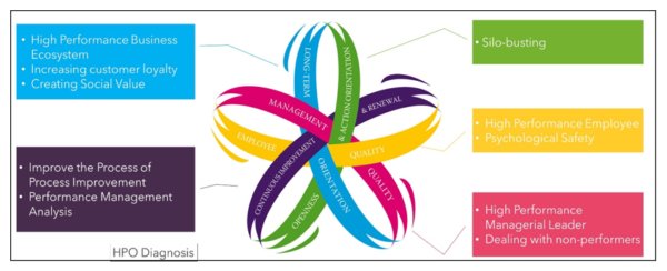 (CLP) (CIH) High-Performance Organization – Appleton Greene & Co