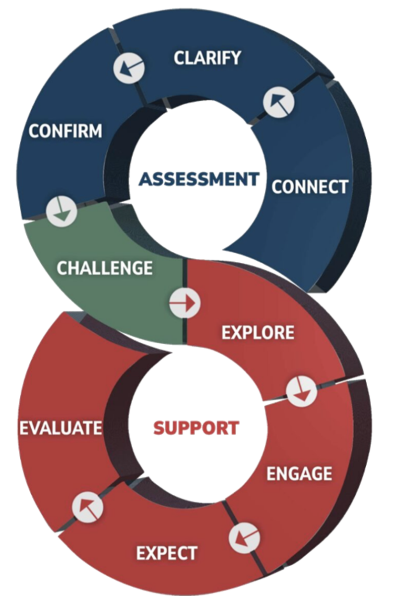 (CLP) (WDP2) Coaching Leaders – Appleton Greene & Co